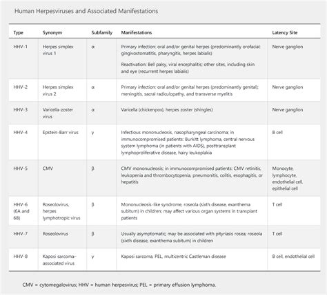 Herpes Simplex Virus Types 1 And 2