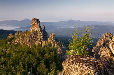 Огурец Таганай Фото – Telegraph