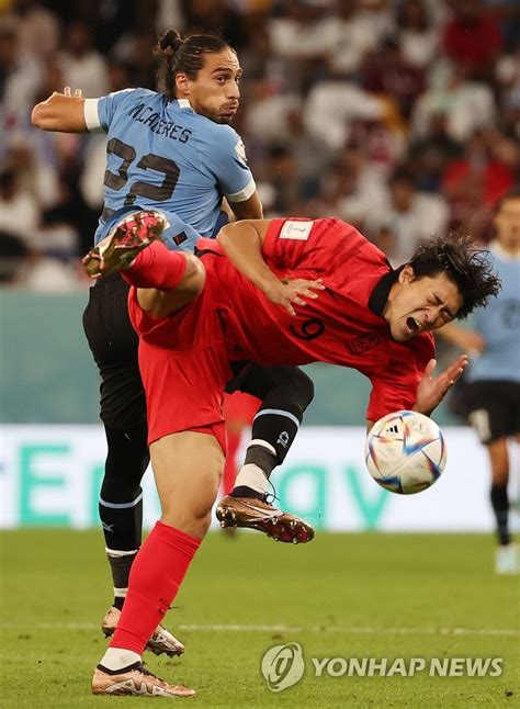 몸 날린 조규성 연합뉴스