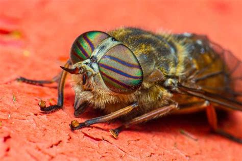 Stromectol Love Travel And Life