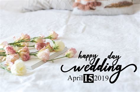 Sophia Script 242152 Calligraphy Font Bundles