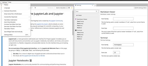 can jupyterlab access use user installed fonts jupyterlab jupyter