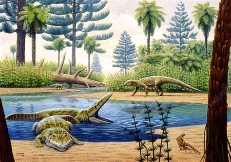 Triassic Environment Stock Image E4020126 Science Photo Library