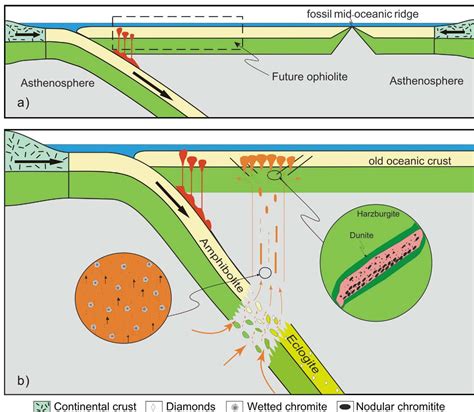 A Schematic Diagram Showing A Possible Model For The