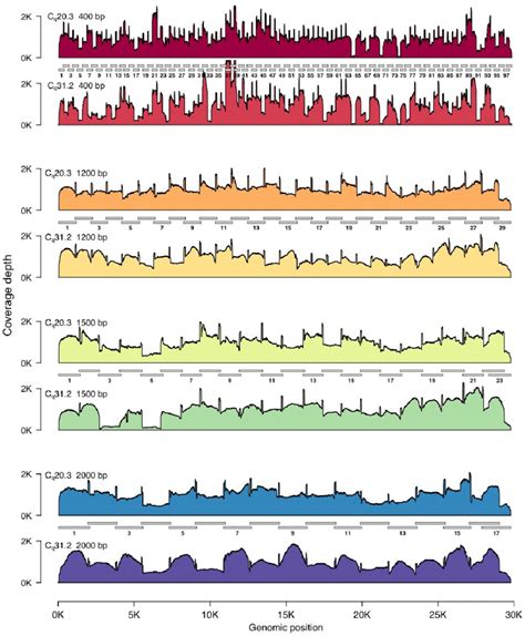 Sars Cov2 Genome Coverage Plots For Different Amplicon Sets We Download Scientific Diagram