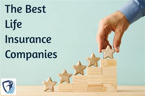 Best Life Insurance Companies Usa Life Insurance Company Market Share