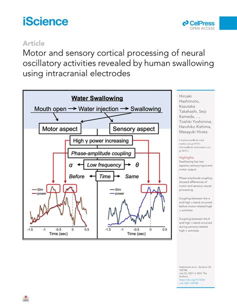Pdf Motor And Sensory Cortical Processing Of Neural Oscillatory Activities Revealed By Human