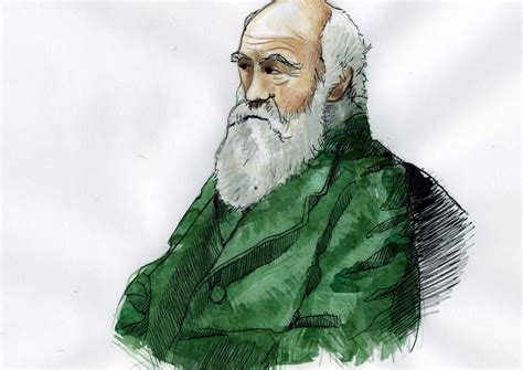 Las Contribuciones Clave De Charles Darwin A La Teoría De La Evolución