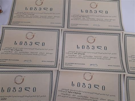 Ge სახელმწიფო ენის დეპარტამენტმა მასტერკლასელებს სიგელი გადასცა