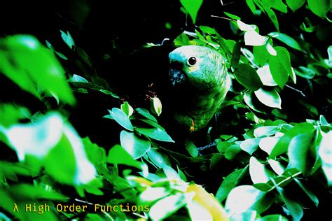 Meeting Lambda 9 High Order Functions By Lubien Lambda Js Medium