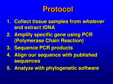 Ppt Molecular Sequence Data Generation From Template Dna To