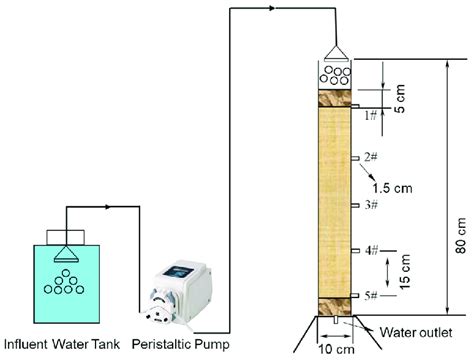 Schematic Diagram Of The Column System Download Scientific Diagram