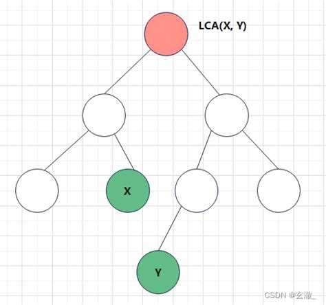 【图论】—— 最近公共祖先（lca） Csdn博客