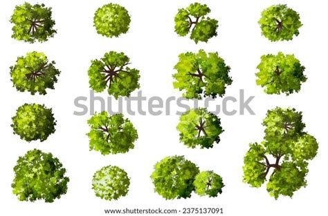 Vector Set Top View Green Tree Stock Vector Royalty Free 2375137091