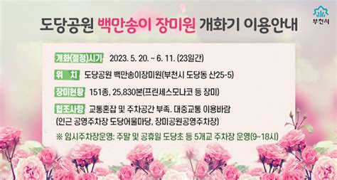 Daum과 시승격 50주년 부천이 함께하는「부천 50년의 두드림31~1210」공익캠페인