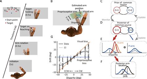 Neural Dynamics Of Causal Inference In The Macaque Frontoparietal