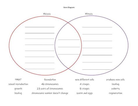Solved Comparing Mitosis And Meiosis Worksheet Name