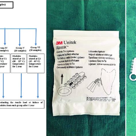 Nonlatex Elastomeric Module 3m Unitek And Sample Size Distribution