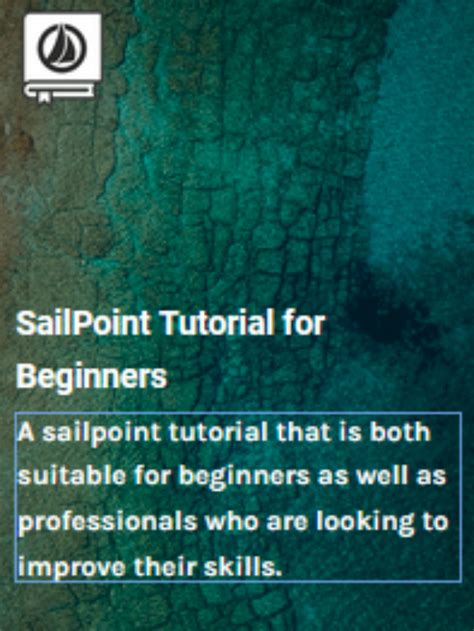 SailPoint Tutorial For Beginners Cloudlearn24 Cloudlearn24