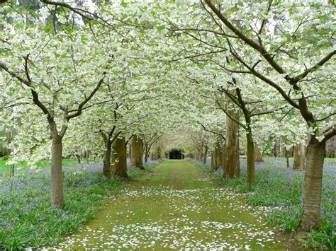 Best 12 Depth Of Field Explained Artofit