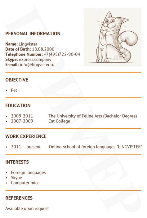 Резюме студента на английском языке образец с переводом для студента