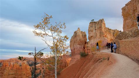 판귀치 여행의 모든 것 유명 관광지부터 숨겨진 보석같은 여행지를 찾아 나만의 여행을 떠나자 특가 호텔과 리뷰는 기본 익스피디아