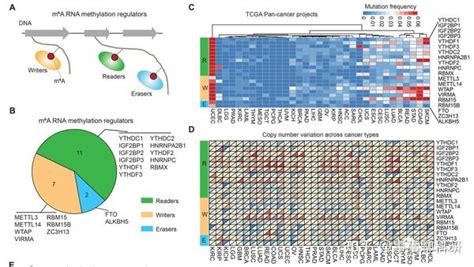 热点终结者？泛癌分析 知乎