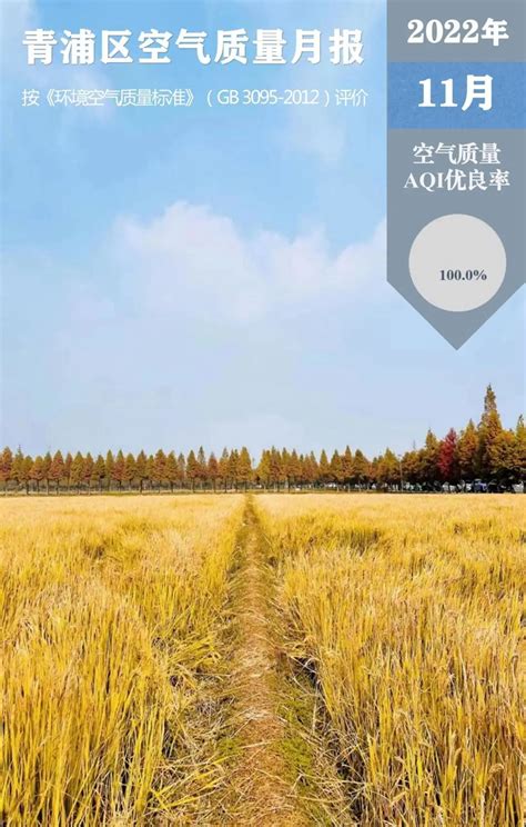 一图读懂青浦区2022年11月空气质量图片新闻生态环境局上海市青浦区人民政府