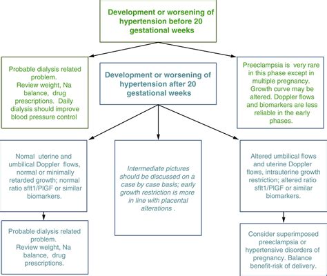 Pregnancy In Dialysis Patients Clinical Tree