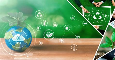 The Energy Transition And Decarbonisation