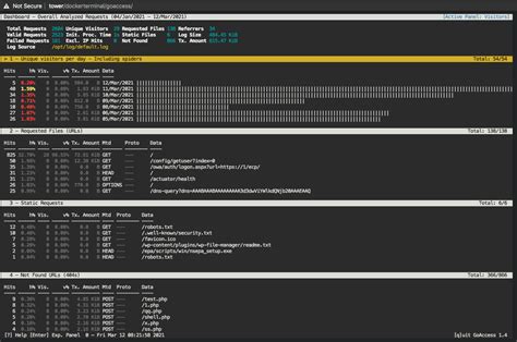 View Nginx Proxy Manager Access Logs In A Beautiful Dashboard With Goaccess Docker