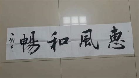惠风和畅书法作品欣赏 教育视频 搜狐视频