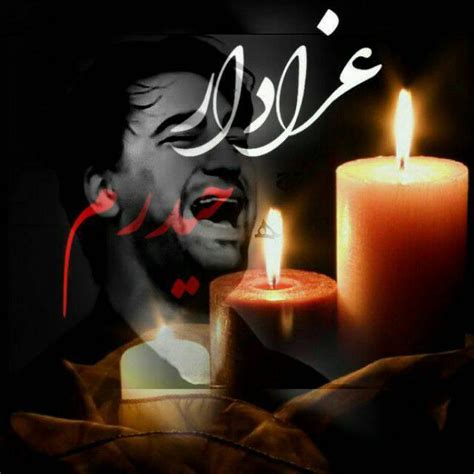 سید جواد ذاکری