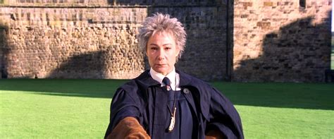 Harry Potter Madam Hooch