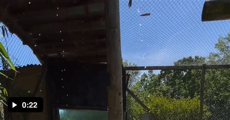 I Would Somehow Love To Jump In With Him GAG