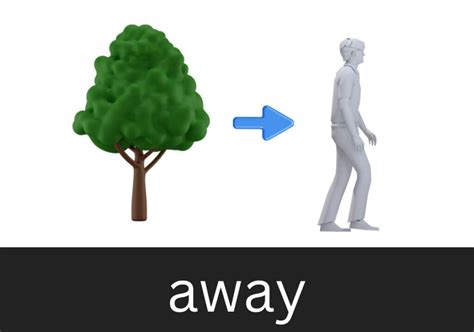 medical prefixes that describe the position or direction master