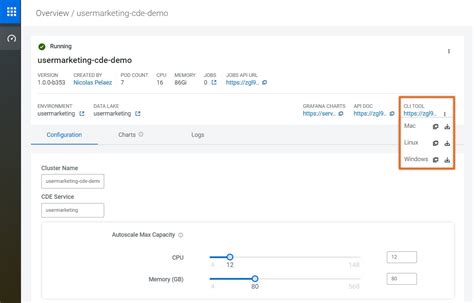 Using Cli Api To Automate Access To Cloudera Data Engineering