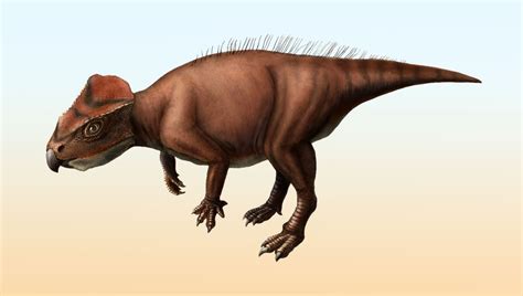 New Ceratopsian Dinosaur Species Unveiled The Madras Tribune
