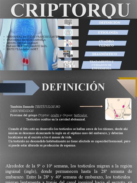 Criptorquidia Pdf Testículo Herida
