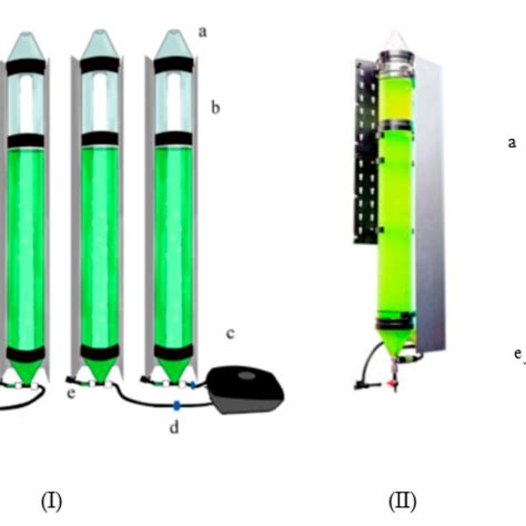 Scheme Of The T Subcordiformis Biomas Production Stand Download Scientific Diagram