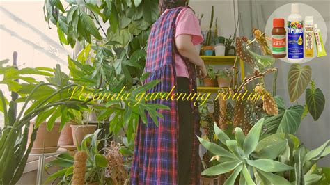 봄을 맞은 베란다 정원🌱 식물영양제 추천 플랜테리어 가드닝 식집사 브이로그 Youtube