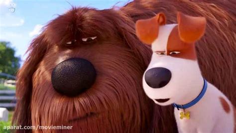 زندگی مخفی حیوانات 2 دوبله فارسی 2019