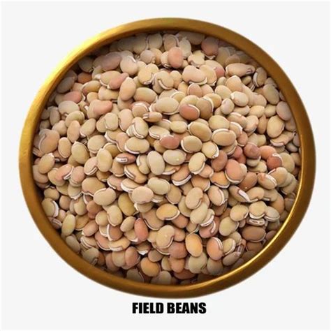 Broad Bean Bitter Broad Bean Manufacturer From Vadamadurai