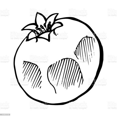 낙서 여름 세트석류 과일 슬라이스의 단일 요소 인사말 카드 포스터 스티커 및 계절 디자인에 대한 손으로 그린 벡터 일러스트레이션 건강한 식생활에 대한 스톡 벡터 아트 및