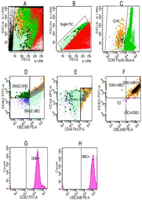 Overview Of Flow Cytometry Results A Total Cells B Singlet Fsc