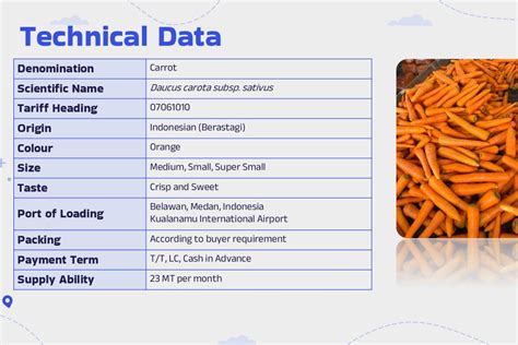 Pt Shandi Sukses Abadi Is A Leading Supplier And Exporter Of