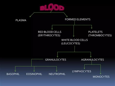 Body Fluids And Circulation Pptx