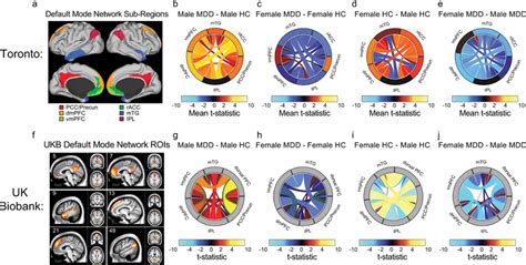 Sex Dependent Effects Of Depression On DMN Connectivity In Two Download Scientific Diagram