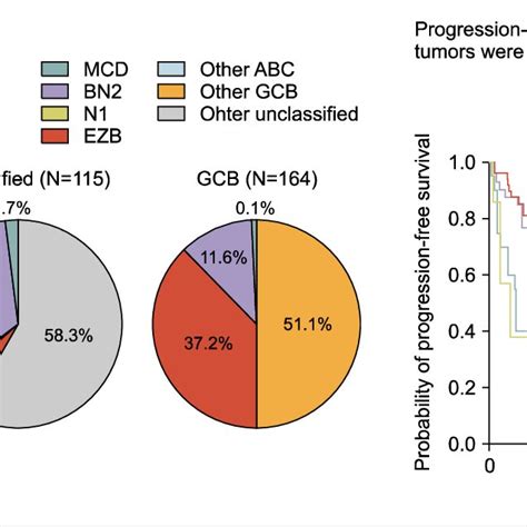 Classification Of Diffuse Large B Cell Lymphoma And Expression Data Download Scientific Diagram