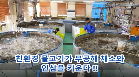 Bft기반의 아쿠아포닉스 아쿠아포닉스는 수산 양식과 수경 재배를 융합한 생산 시스템으로 물고기에서 배출되는 유기물로 식물을 재배하는 방법입니다 친환경 바이오플락